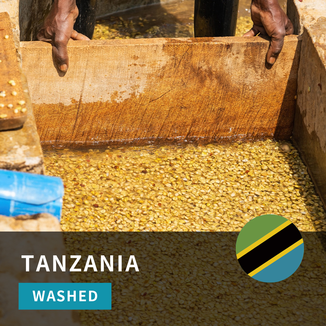 タンザニア | ORIGIN COUNTRIES for Small Roaster（Small Roaster向けの生豆小分け販売ショップ）