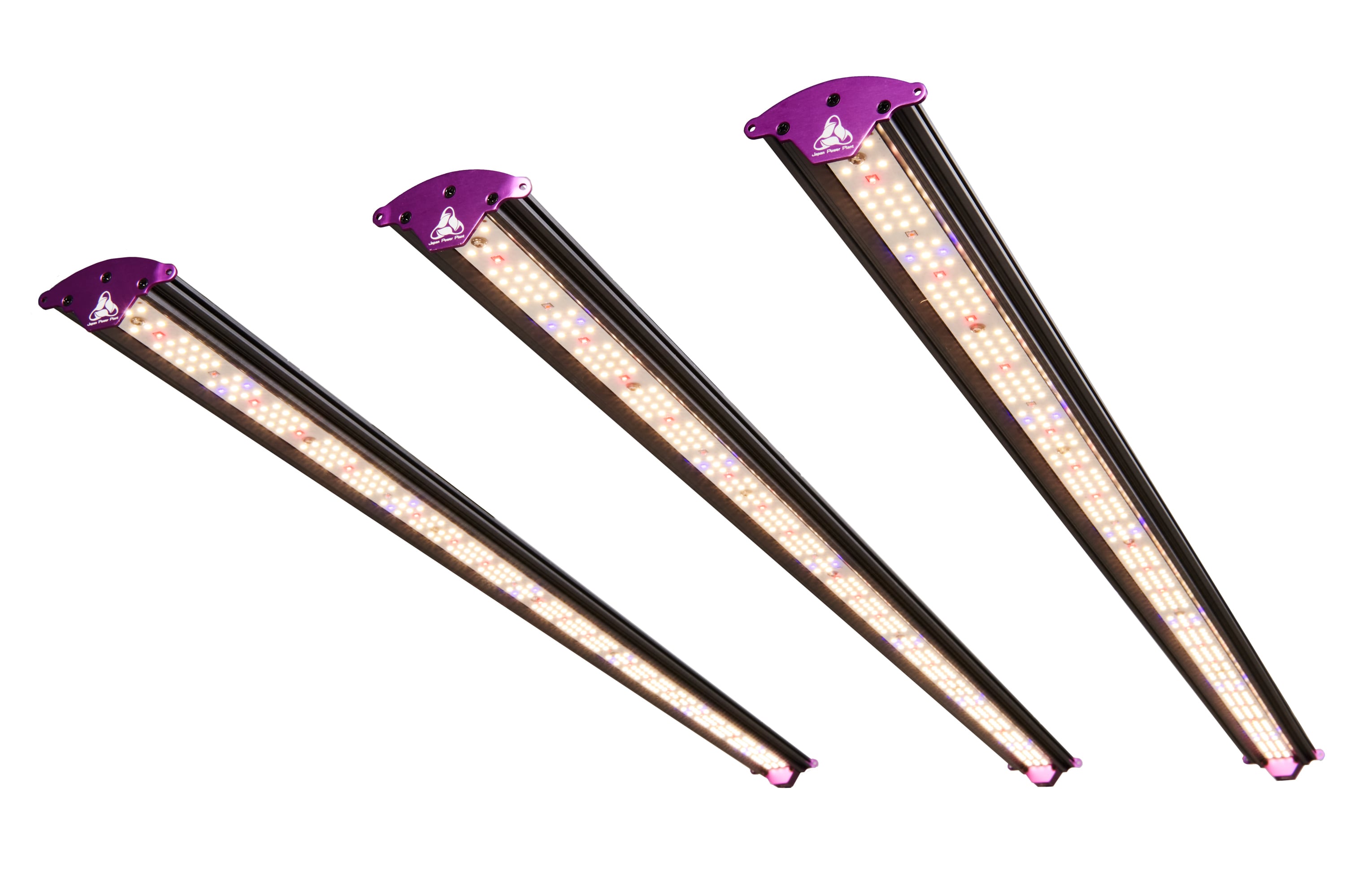 エキスパートモデル | 株式会社JPP