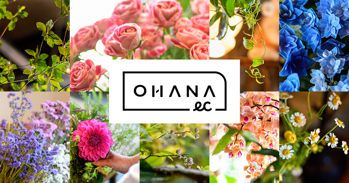 仁田脇バラ園 | Blog | お花の仕入れならOHANAec