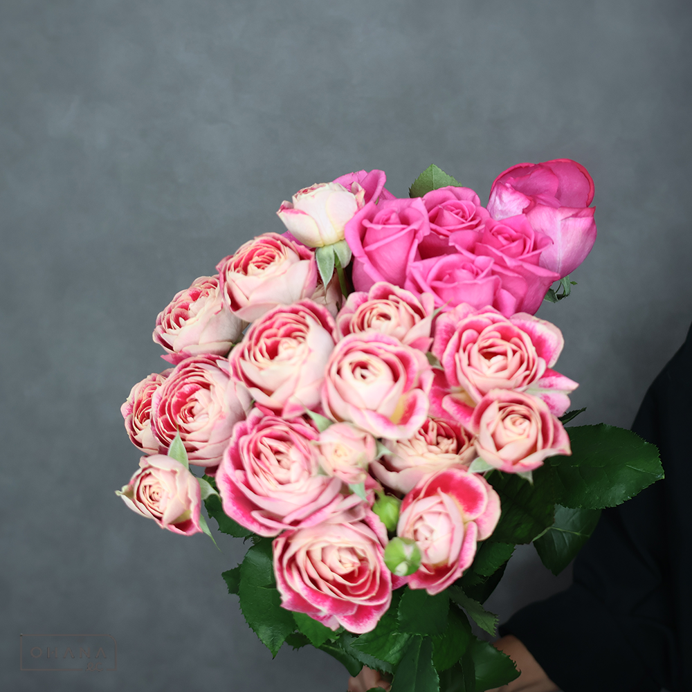 バラ MIX③ 70-60cm | お花の仕入れならOHANAec