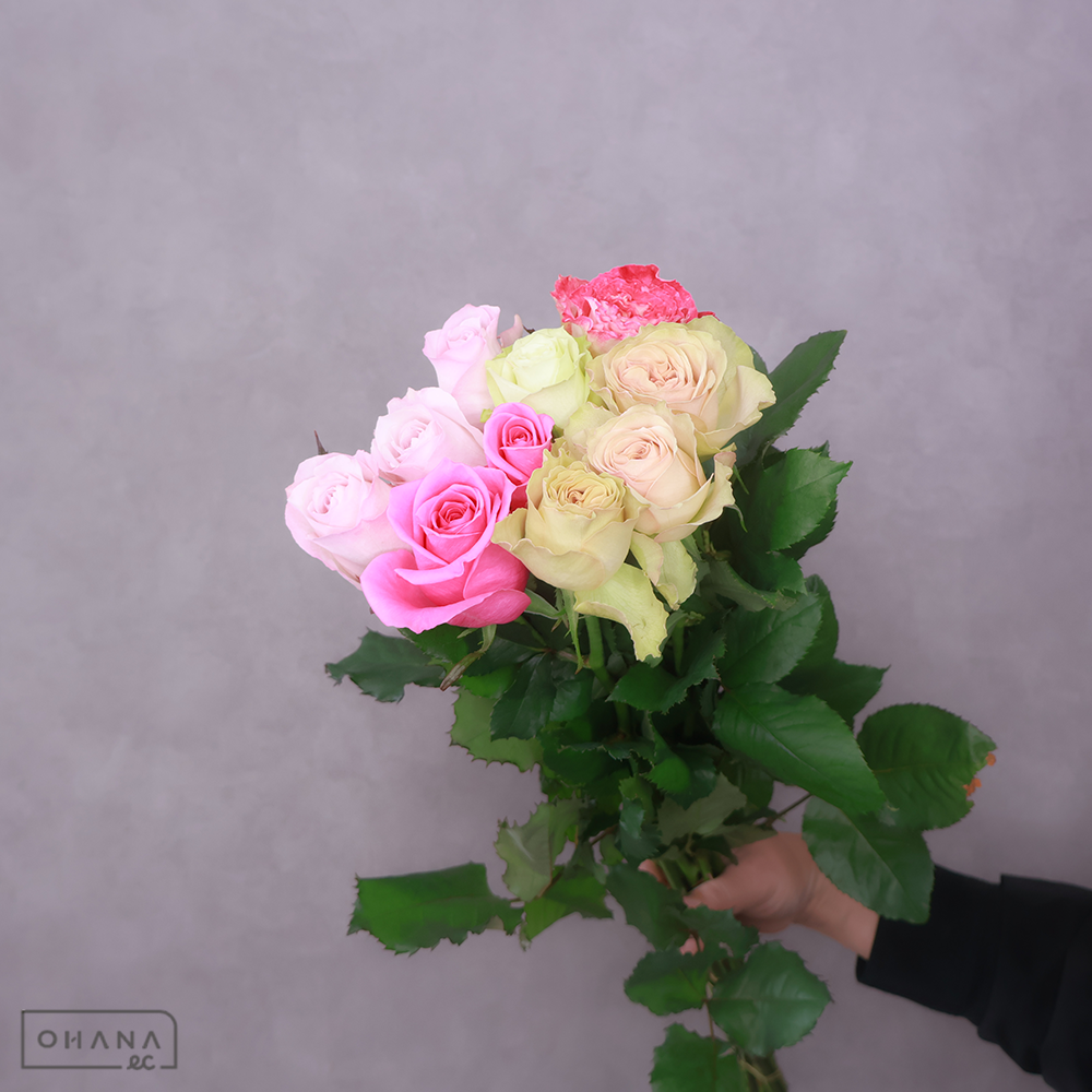 バラ MIX ① 70-60 | お花の仕入れならOHANAec