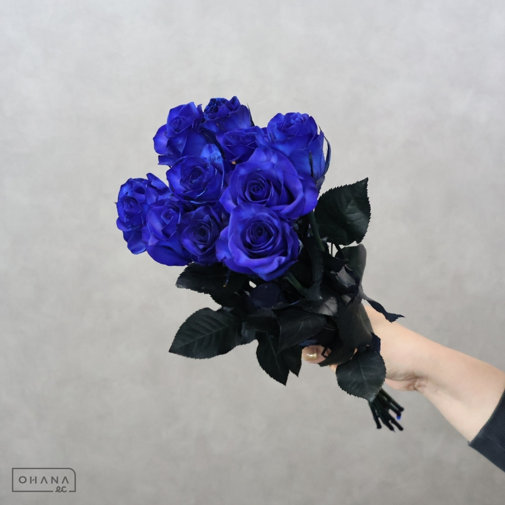 バラ プリンセスメグ染ブルー 秀40CM | お花の仕入れならOHANAec
