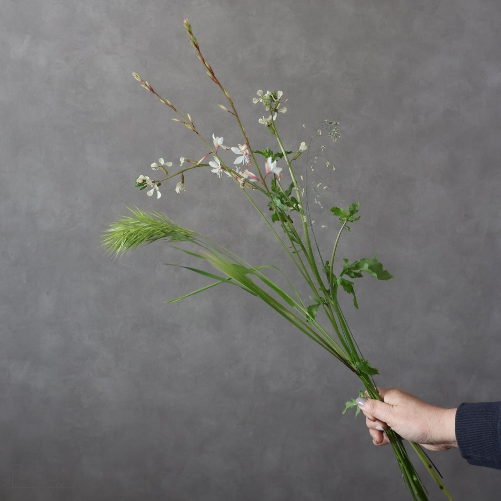 グラス シャンペトル5MIX 秀70-30CM | お花の仕入れならOHANAec