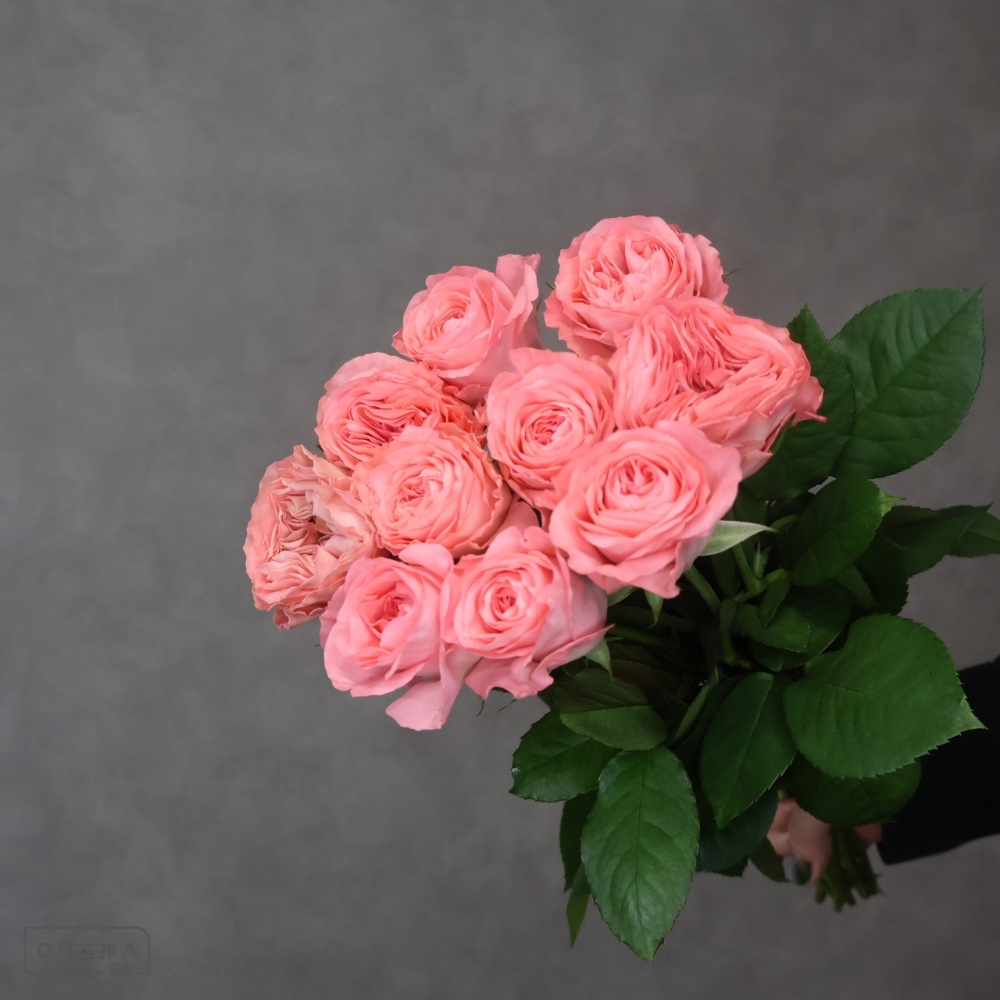 バラピンク マルゴー 秀 40-30㎝ | お花の仕入れならOHANAec