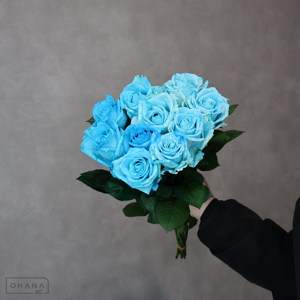 バラ アクアブルー染 秀 40cm | お花の仕入れならOHANAec